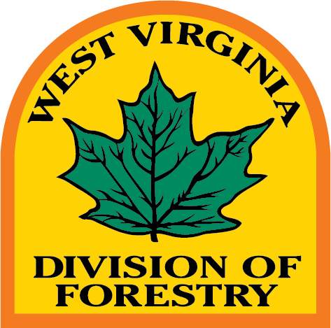 West Virginia Forest Stewardship Program sign-ups underway - WOAY-TV