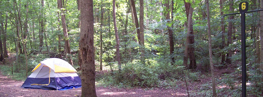 It’s National Camping Month and we have tips to make your camping ...