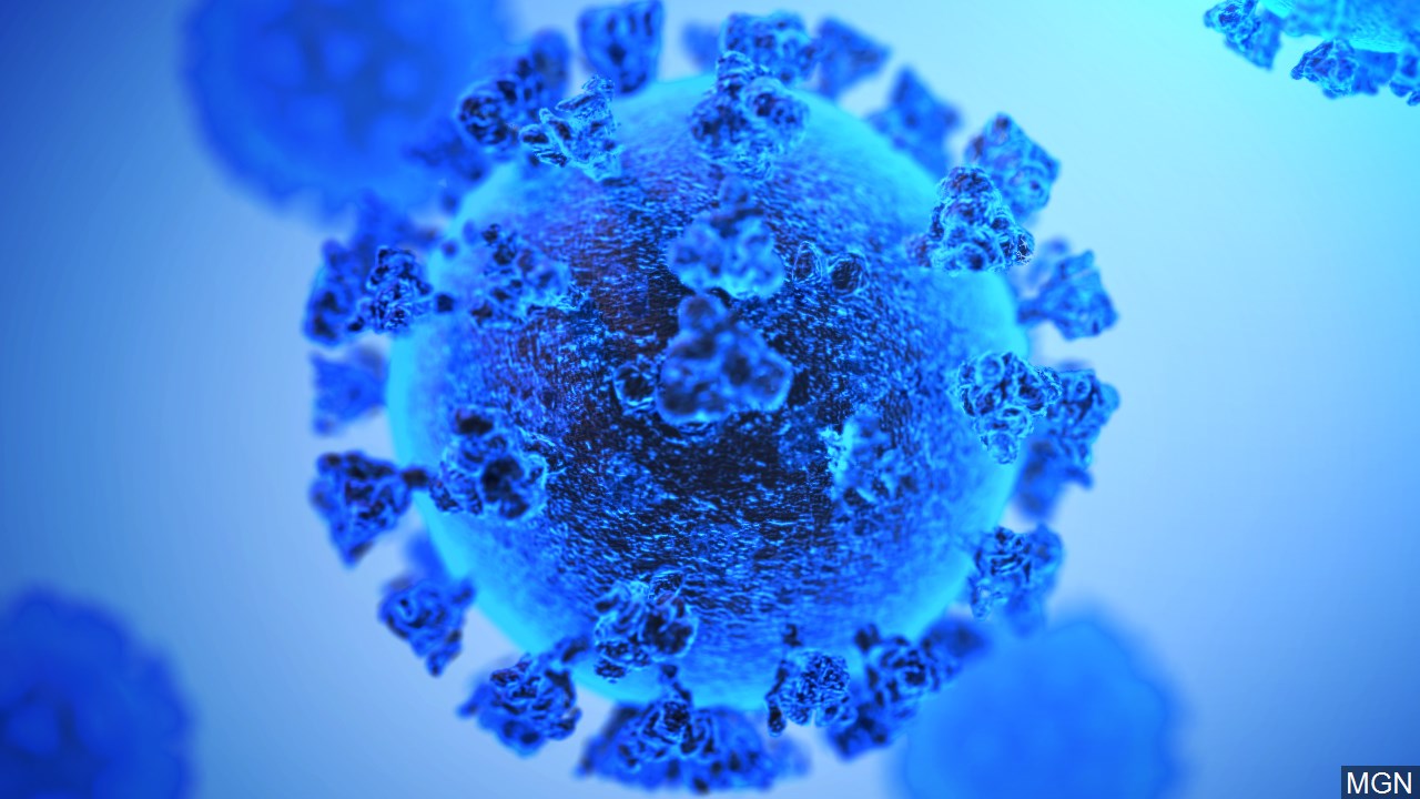 22 new virus cases; Kanawha prepares to reopen courthouse - WOAY-TV