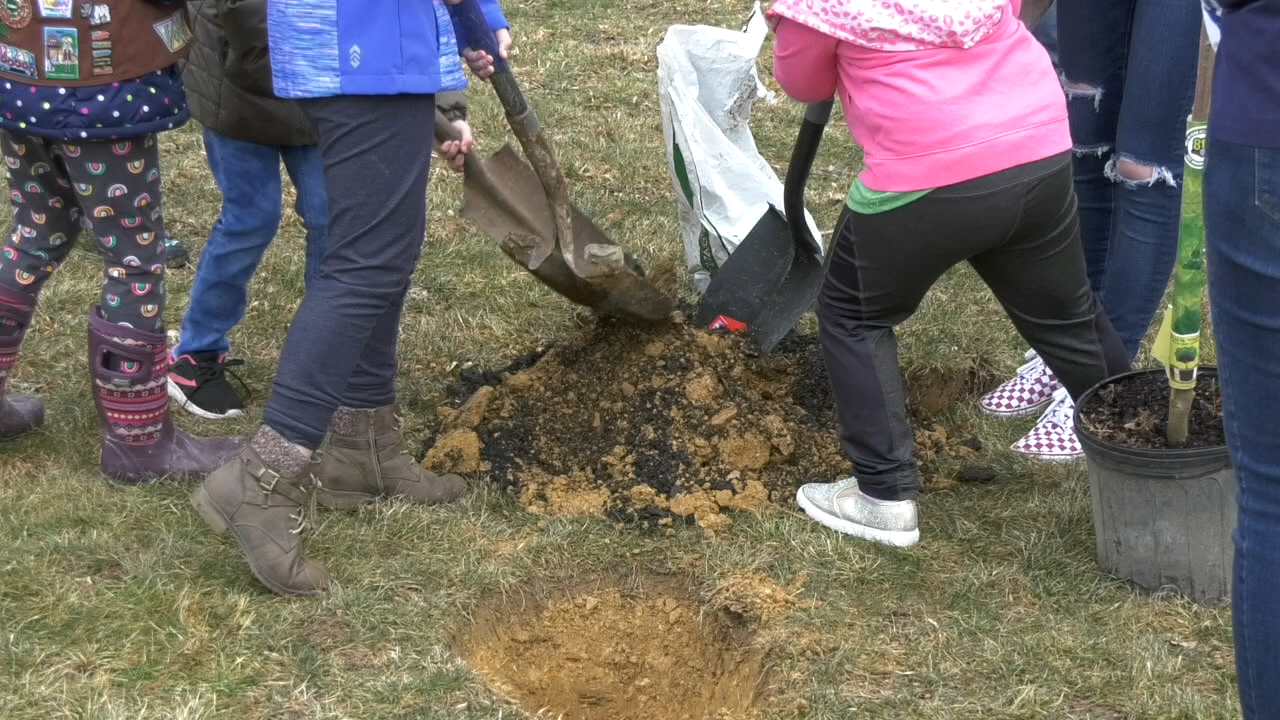 Local girl scout troops come together to plant a tree - WOAY-TV