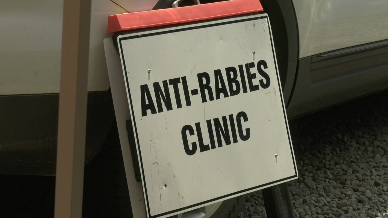 ANTI-RABIES-CLINIC.png