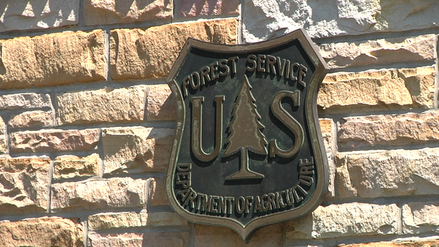 Jones named as new state forester - WOAY-TV