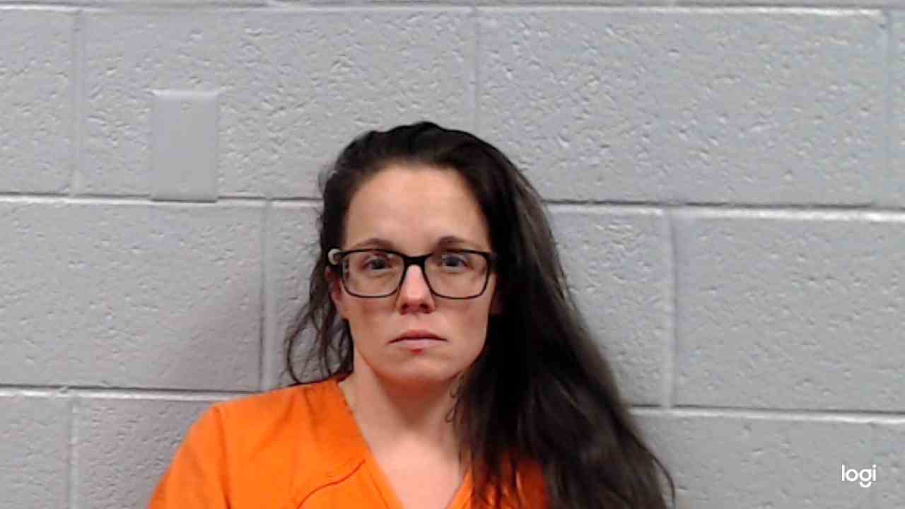 Greenbrier County woman faces attempted murder charges following ...