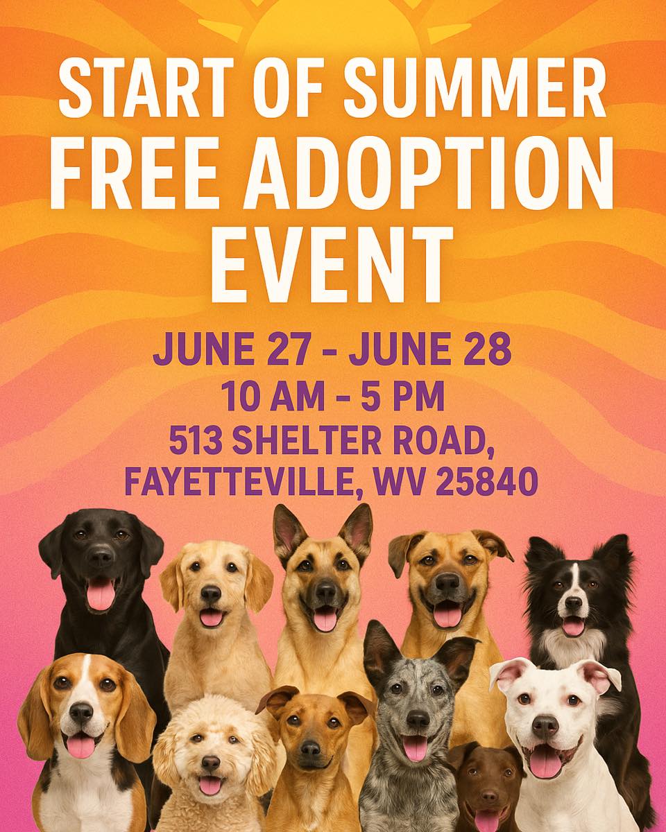 FCHS-FREE-SUMMER-ADOPTION.jpg