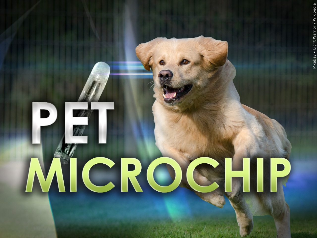 Fayette County Humane Society offering pet microchips for $10 - WOAY-TV